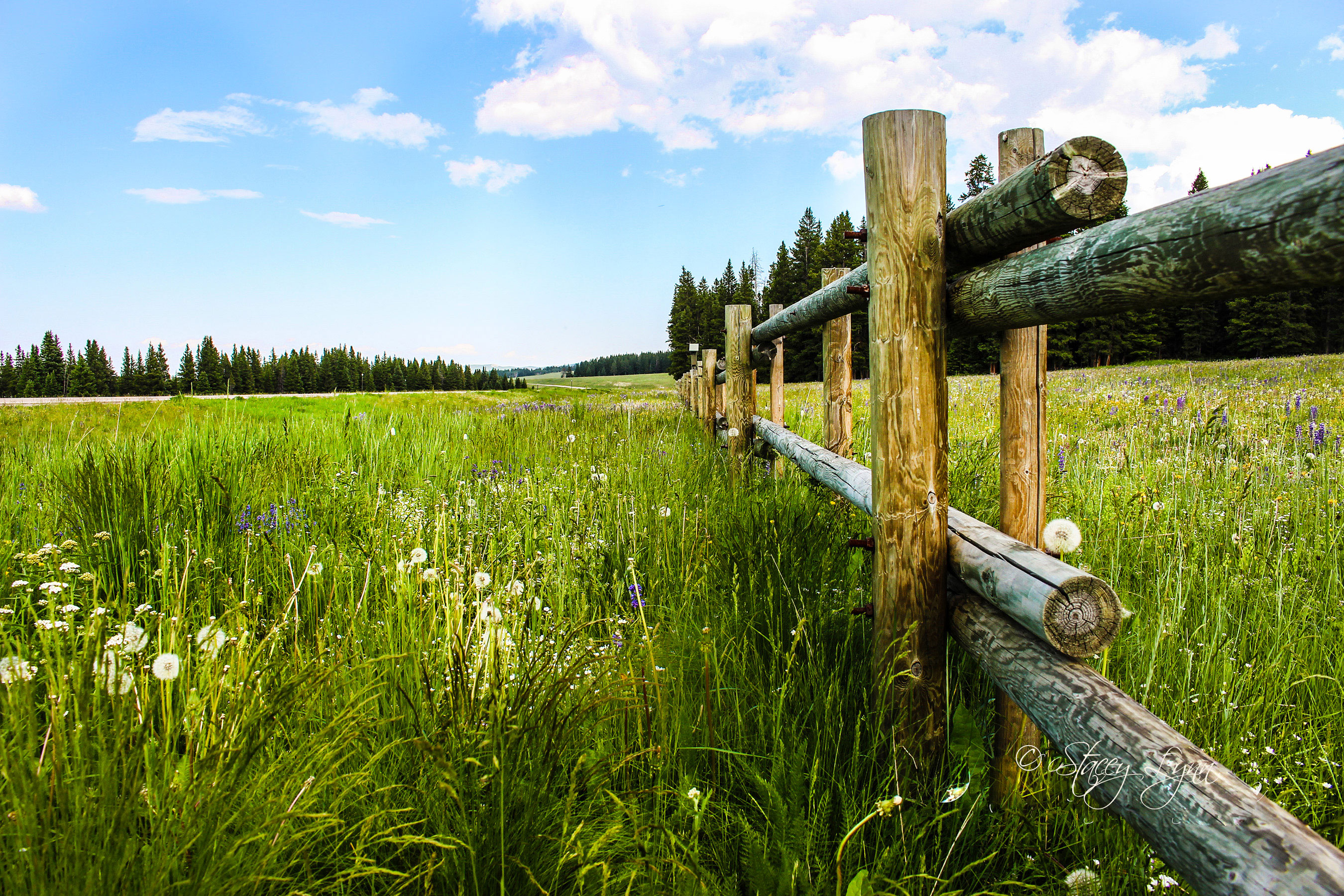 Business Calendar - Powell