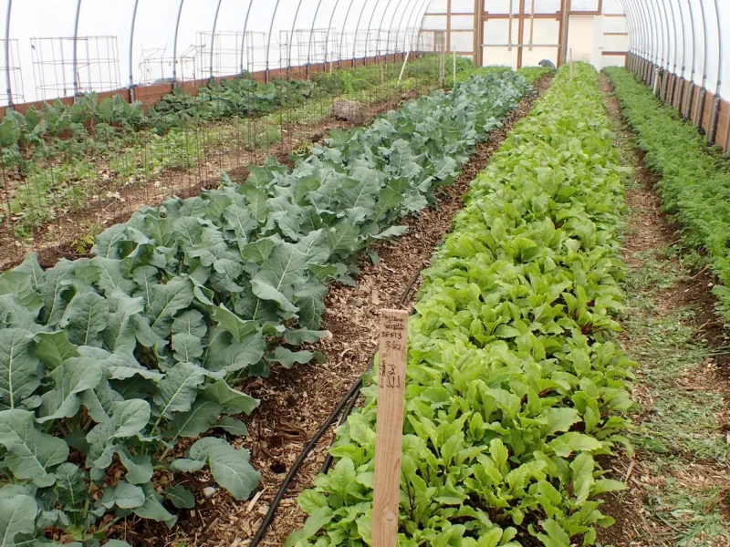 Restaurants & Farms in Powell WY
